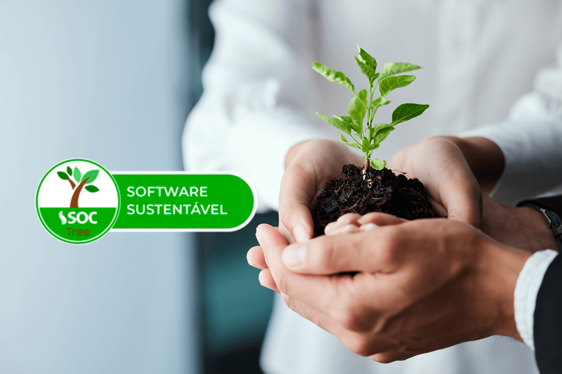 Sustentabilidade: os diferenciais do selo SOC Tree na Expert ...